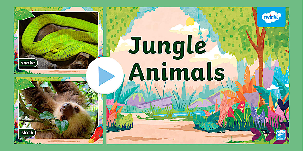 Jungle Animal Images with Names | Photo PowerPoint - Twinkl