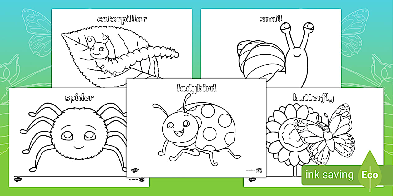 Minibeasts Picture and Word Colouring Sheets | Twinkl