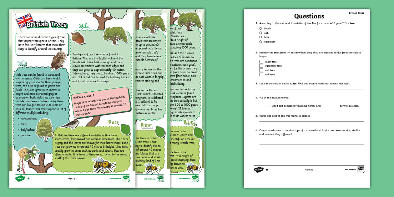 UKS2 British Trees Reading Comprehension Activity - Twinkl