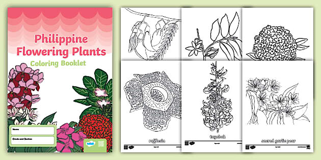 Philippine Flowering Plants Coloring Booklet | Grade 1 | Twinkl