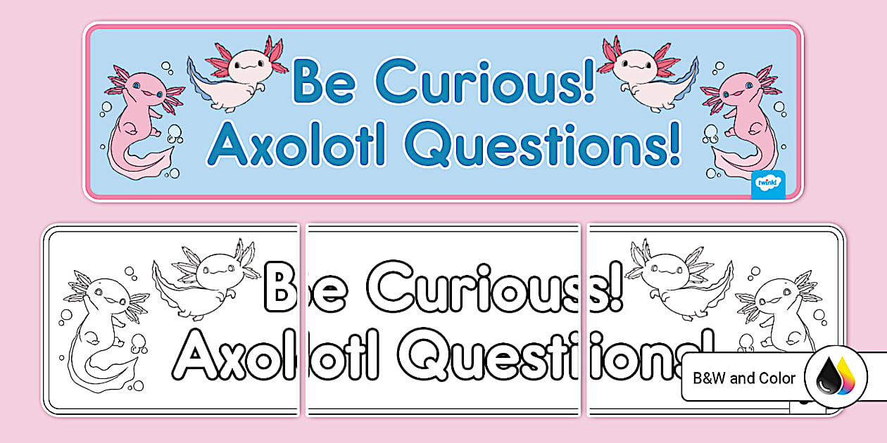 Be Curious! Axolotl Questions Banner (Teacher-Made) - Twinkl