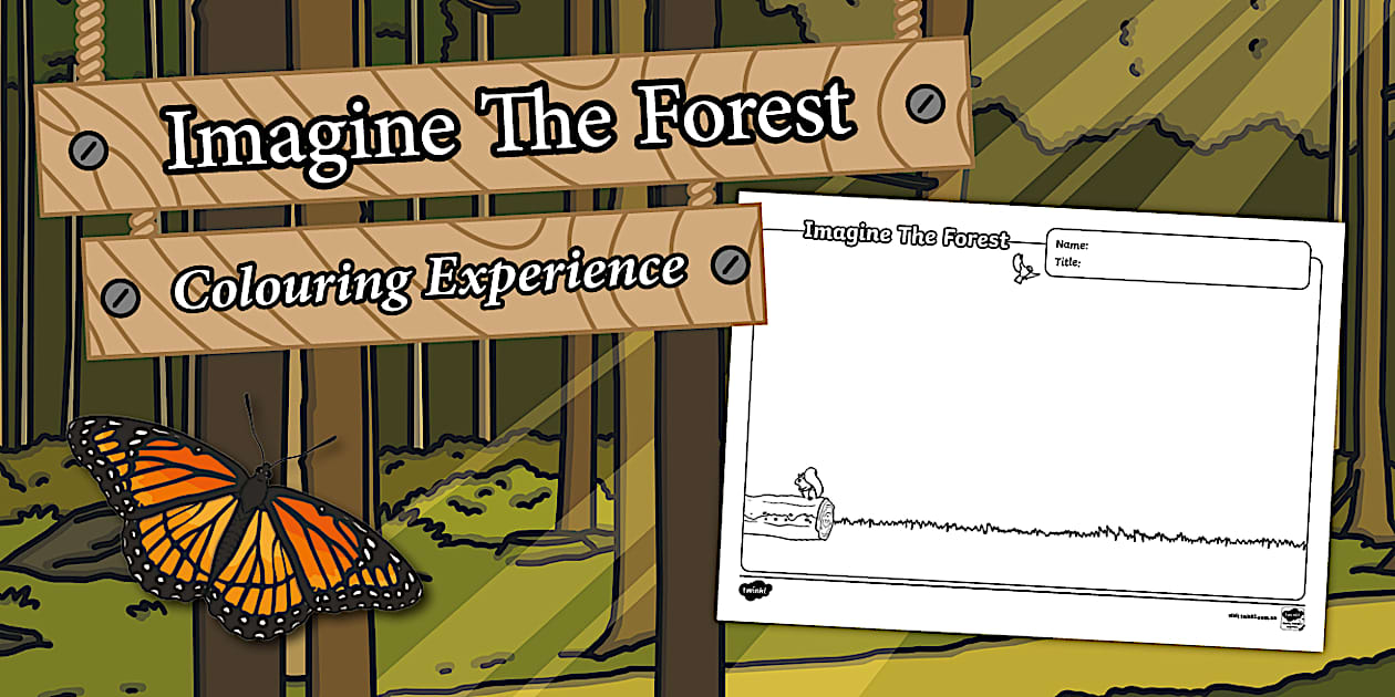 Imagine The Forest - Colouring Experience (teacher made)