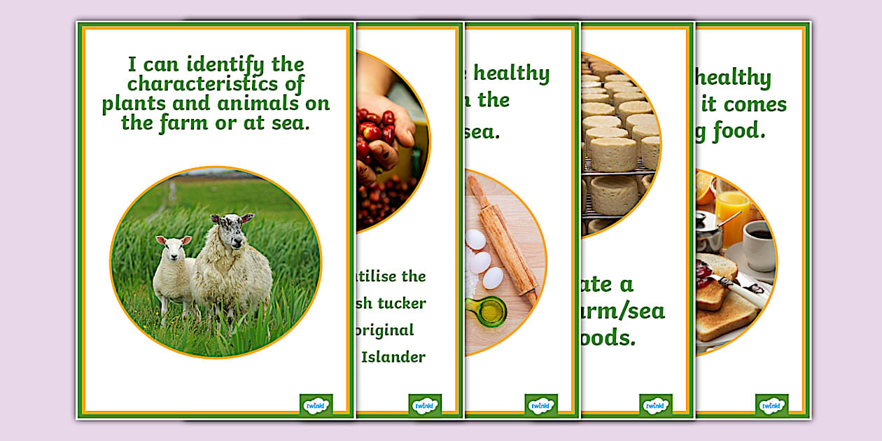 STEM IU Yr 3 Farm to Plate I Can Statements Display Posters