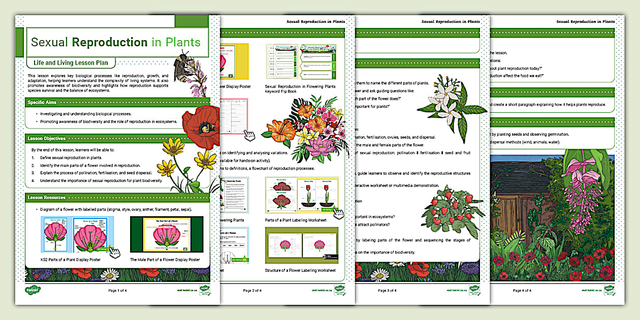 Grade 7 Life and Living Lesson Plan - Human Reproduction