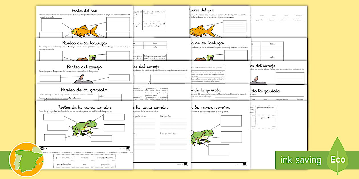 Pack de recursos: Las partes de los animales - Twinkl