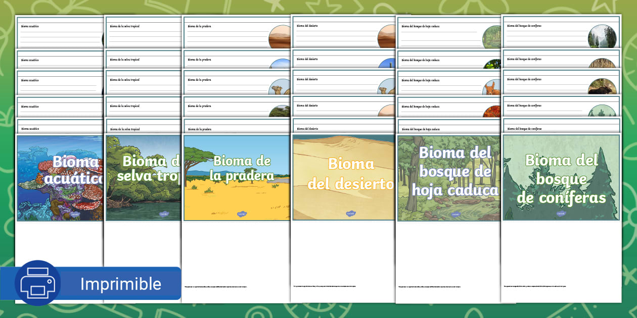 Flipbook: Biomas (teacher made) - Twinkl