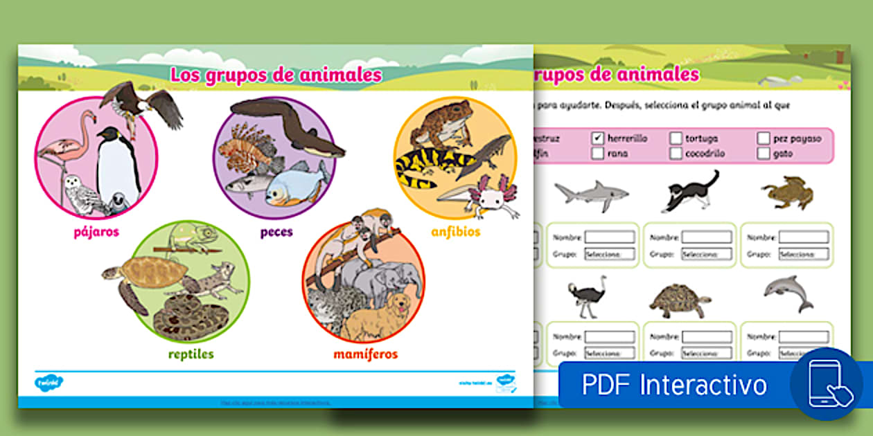PDF Interactivo: Los grupos de animales (teacher made)