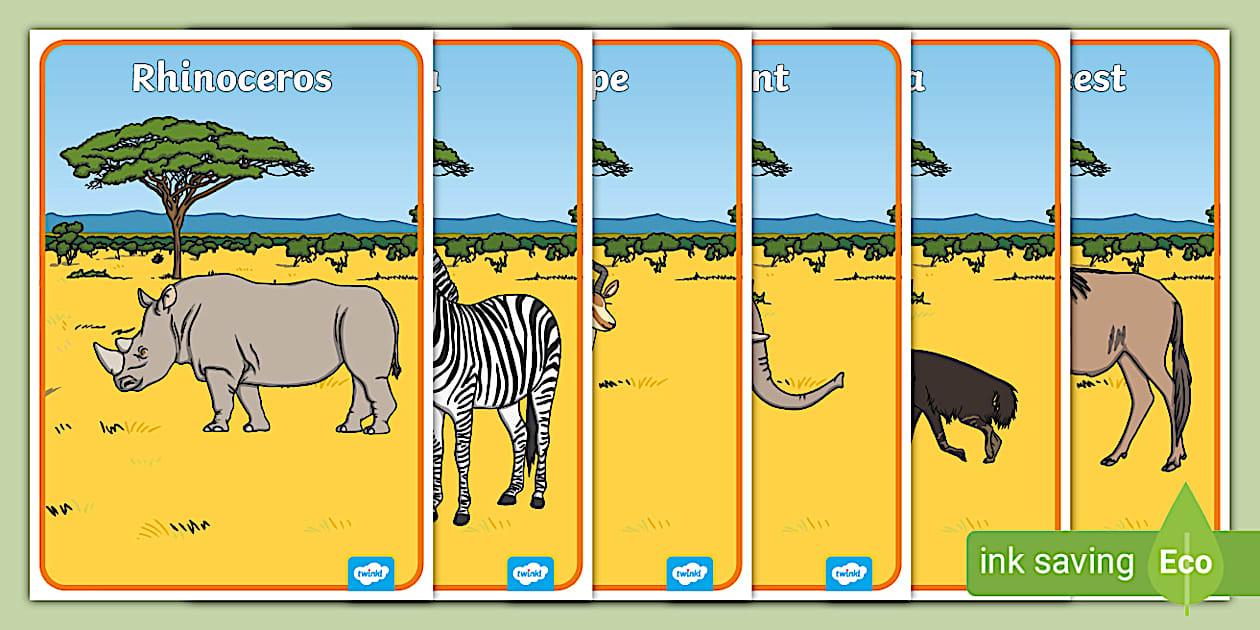 Animals from African Countries Display Posters
