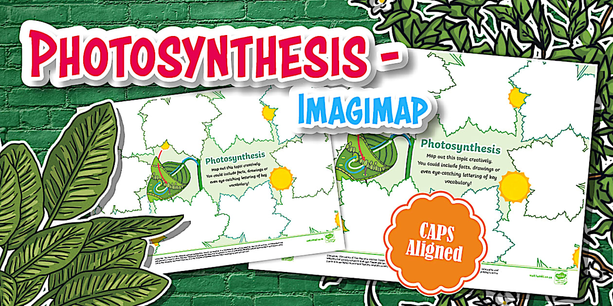 Natural Sciences and Technology - Photosynthesis - Imagimap