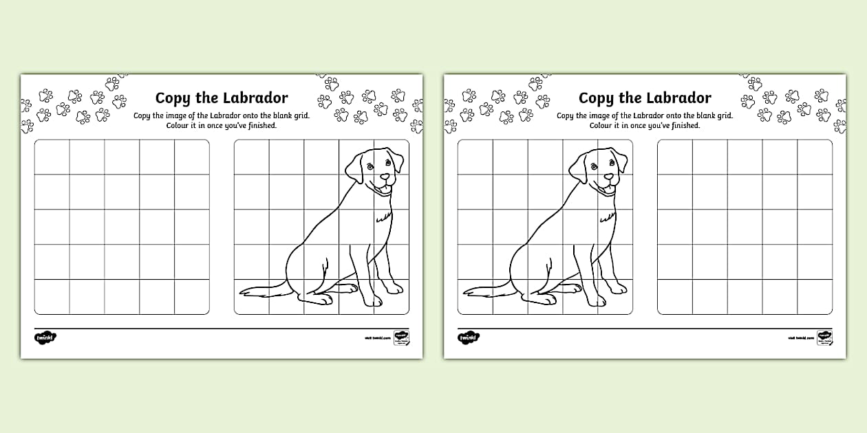 Copy the Labrador Worksheet (teacher made) - Twinkl