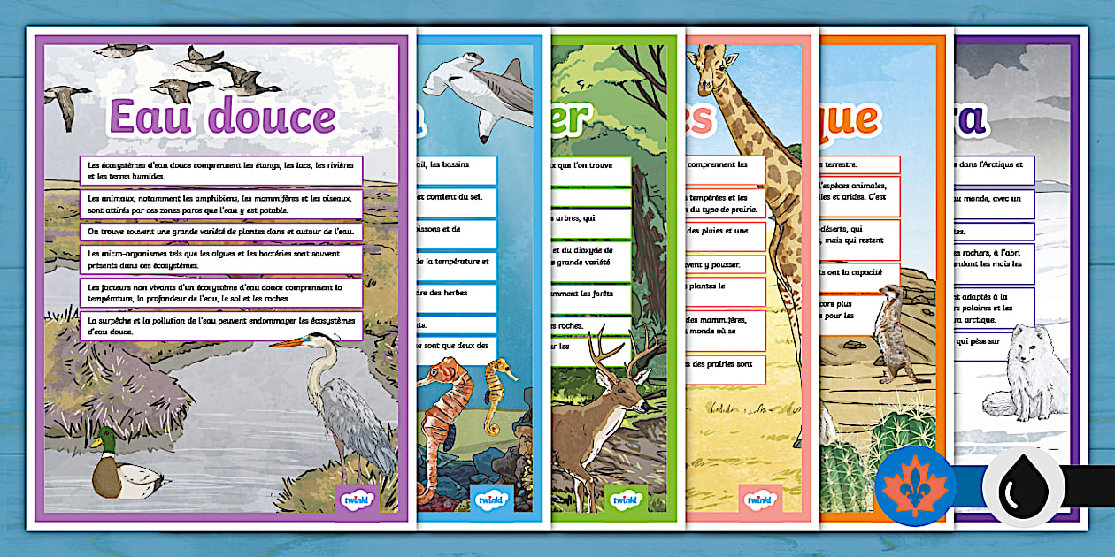 Ecosystem Display Posters French (teacher made) - Twinkl