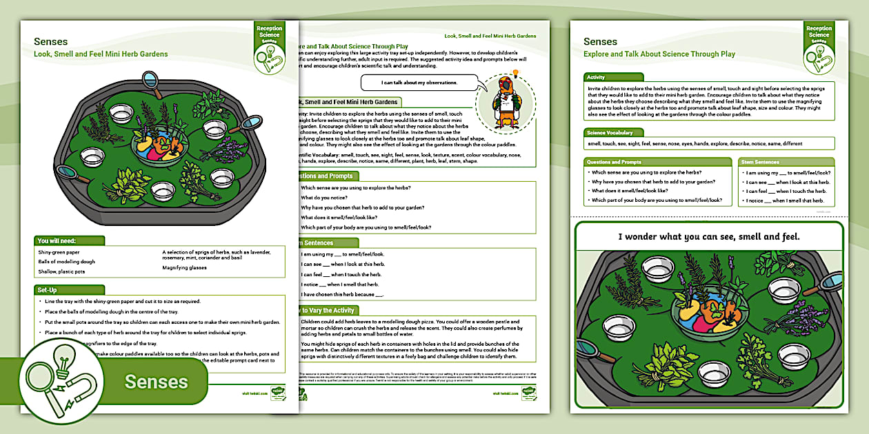 5 Senses Large Activity Tray | EYFS Science Senses | Twinkl