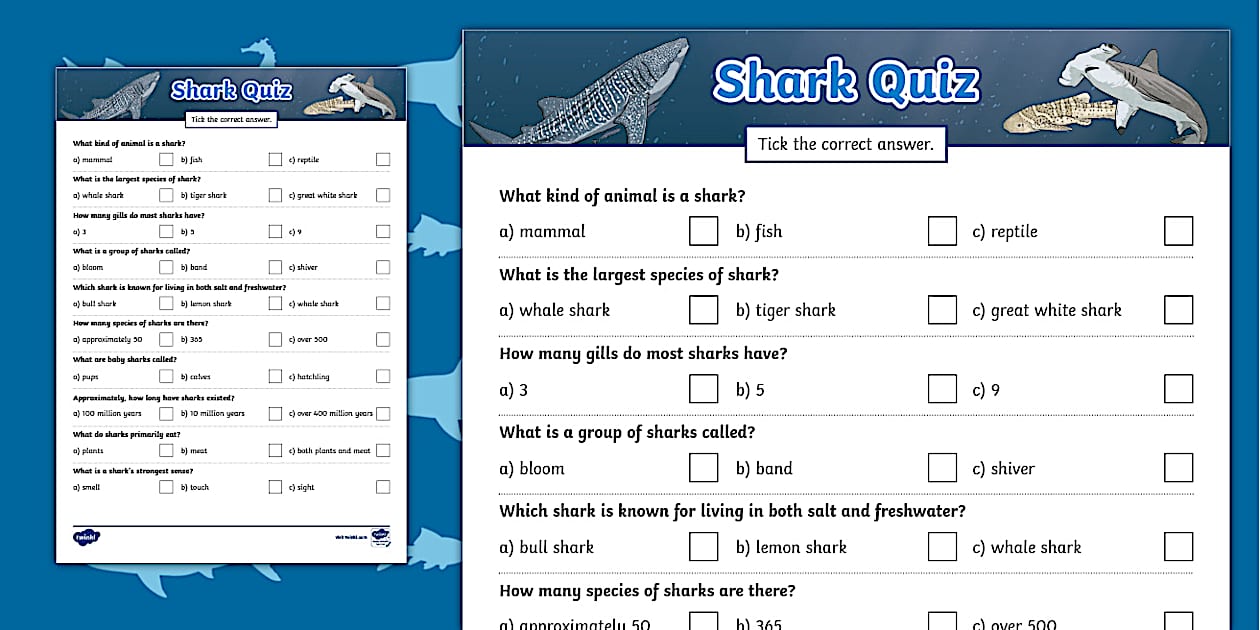 Shark General Knowledge Paper Quiz (Teacher-Made) - Twinkl