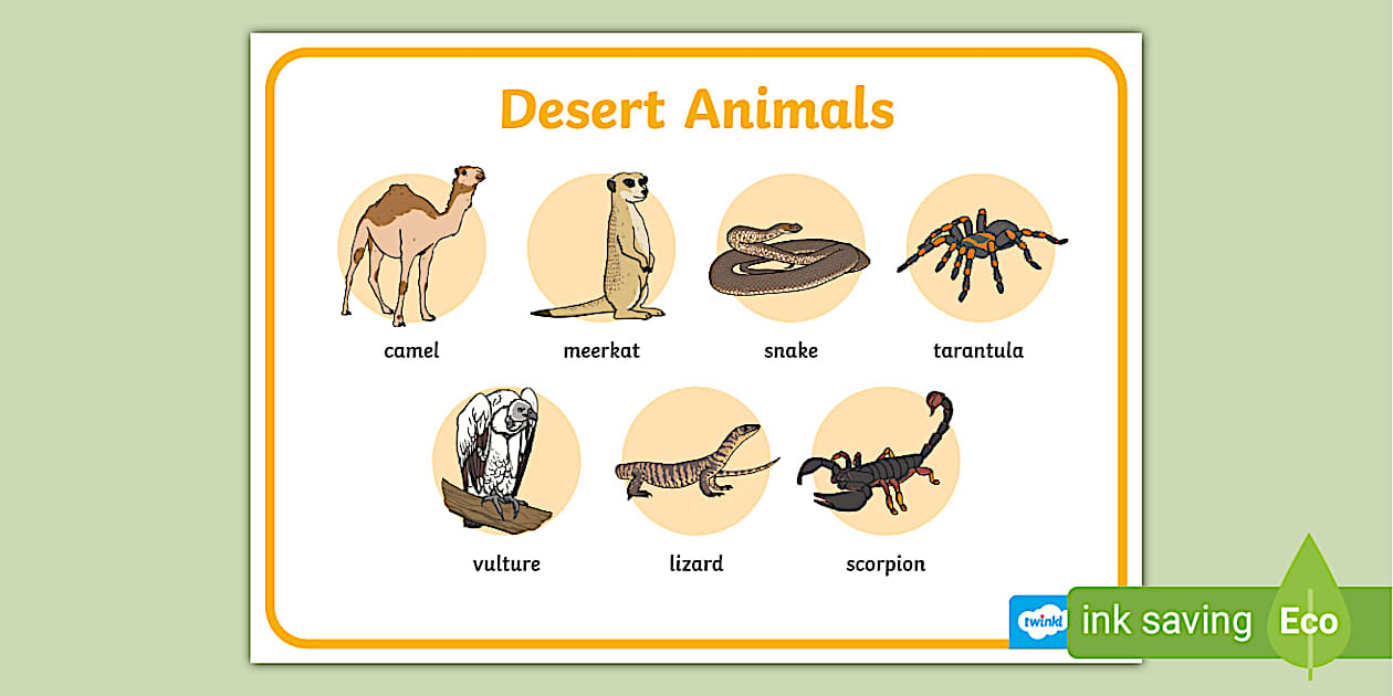 Cursive Desert Animals Word Mat (teacher made) - Twinkl