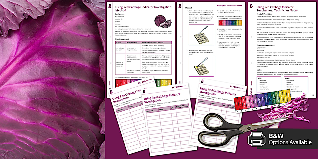 Using Red Cabbage Indicator (Teacher-Made) - Twinkl