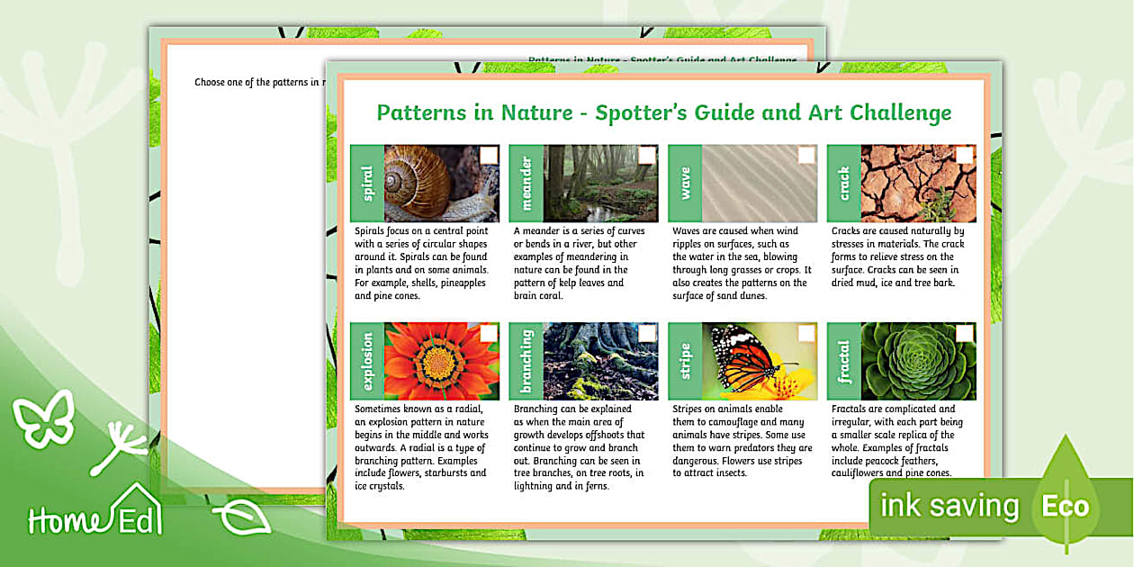 Patterns in Nature Spotter's Guide and Art Challenge