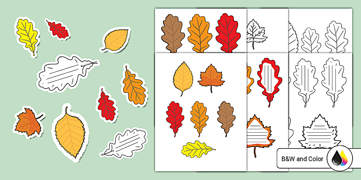 Thankful Leaves Templates | Resource | Twinkl USA
