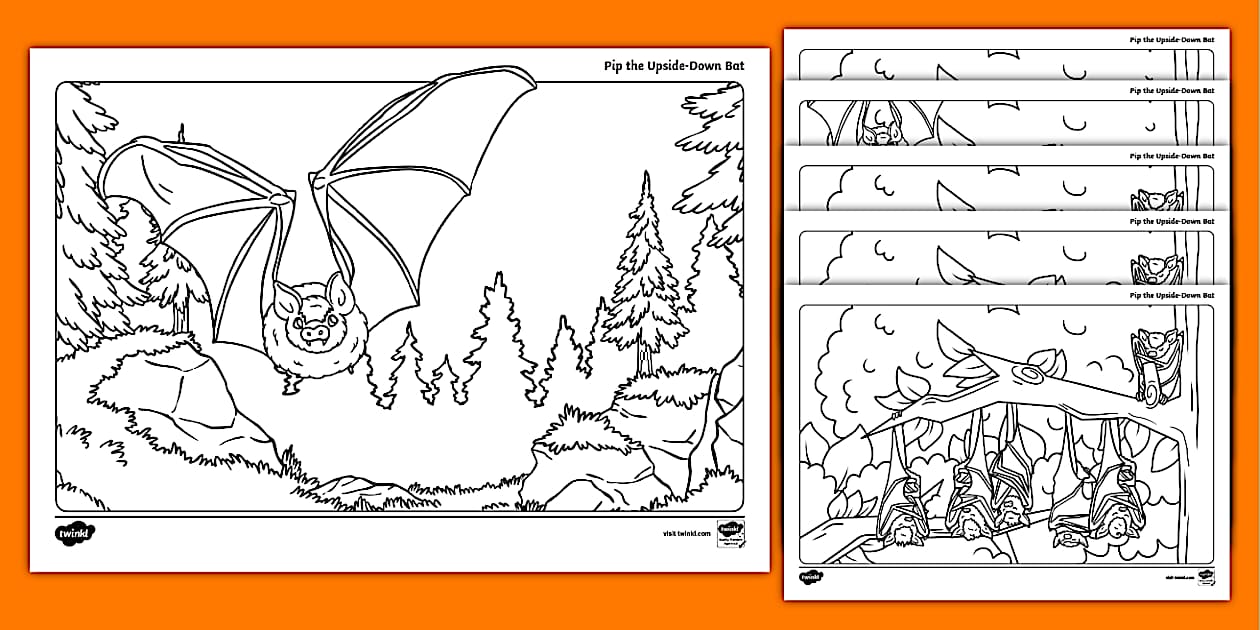Pip the Upside-Down Bat STEM Challenge Colouring Pages