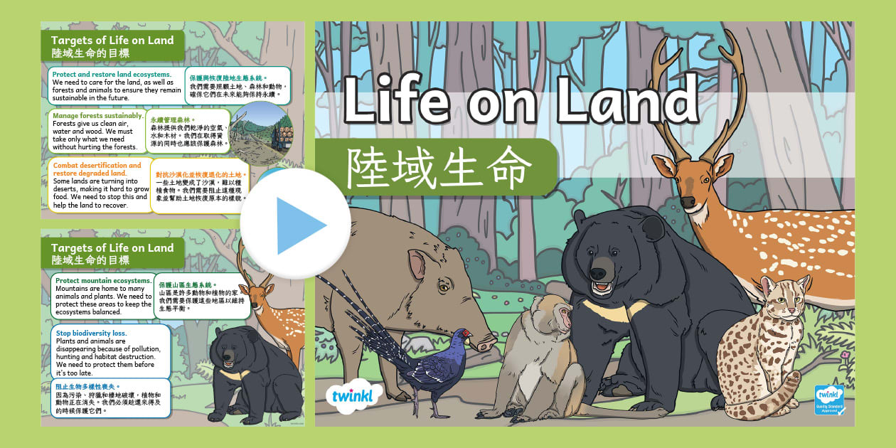 SDGs 陸域生命 Life On Land Powerpoint｜中英雙語