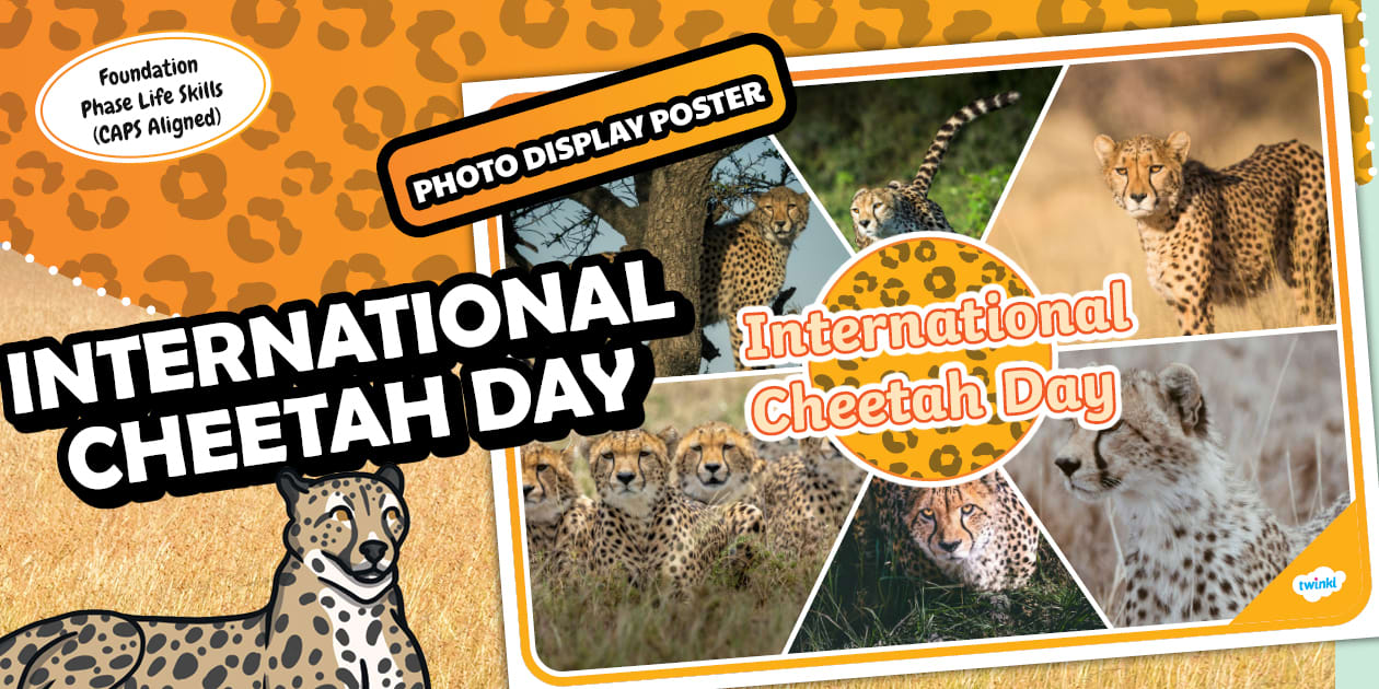 International Cheetah Day Photo Display Poster (CAPS Aligned)