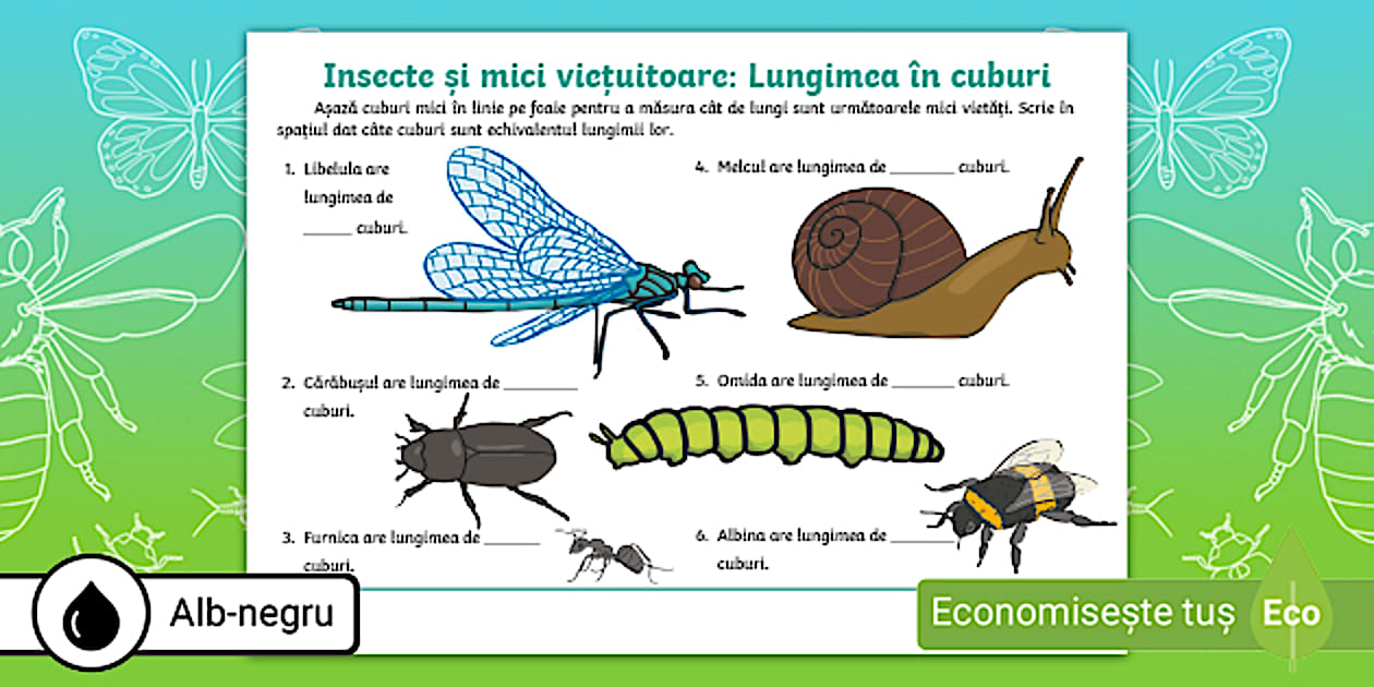 Insecte: Lungime măsurată în cuburi – Fișă de activitate