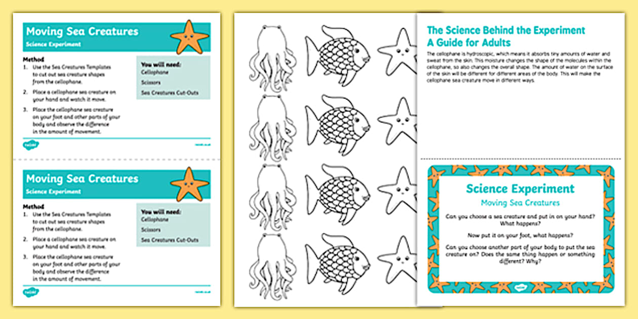 EYFS Moving Sea Creatures Science Experiment and Prompt Card Pack