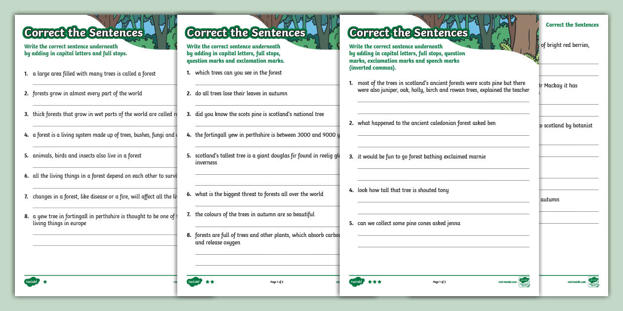 Correct the Sentences - Forest Activity Sheet - Twinkl
