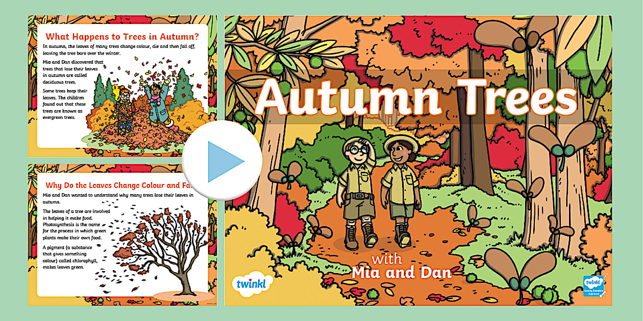 Autumn Trees With Mia and Dan PowerPoint (teacher made)
