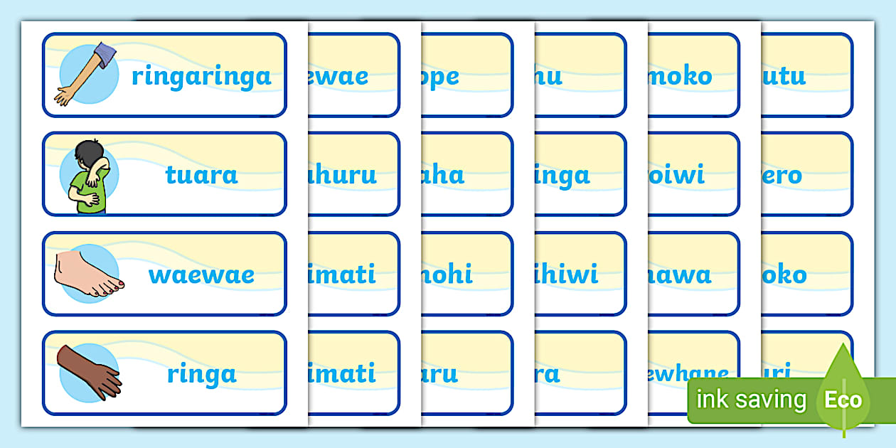 Parts of the Body Topic Words Te Reo Māori - Twinkl