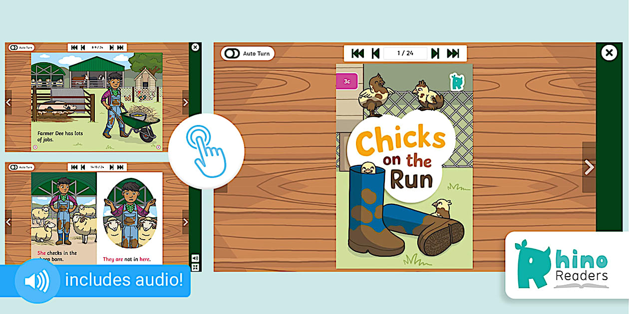 Level 3c Reading Book: Chicks on the Run (teacher made)