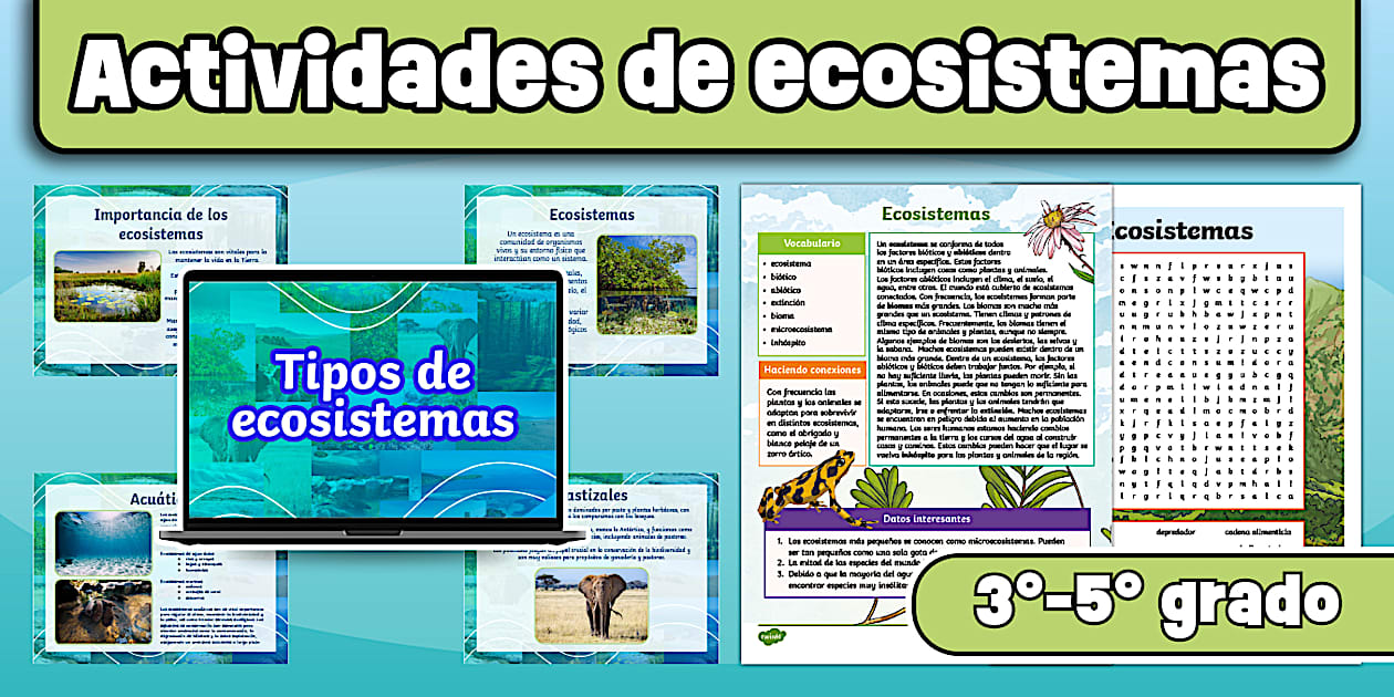 Ecosystem in Spanish Activity Pack | Grades 3-5 | Twinkl USA