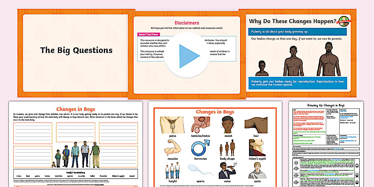 PSHE: LKS2 Growing Up - Lesson Pack 2
