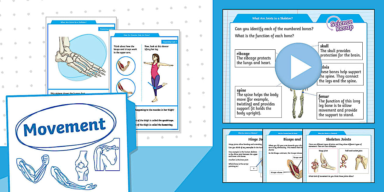 Step into Science: Y3: Autumn: Block 2: Movement: Steps 1 to 2