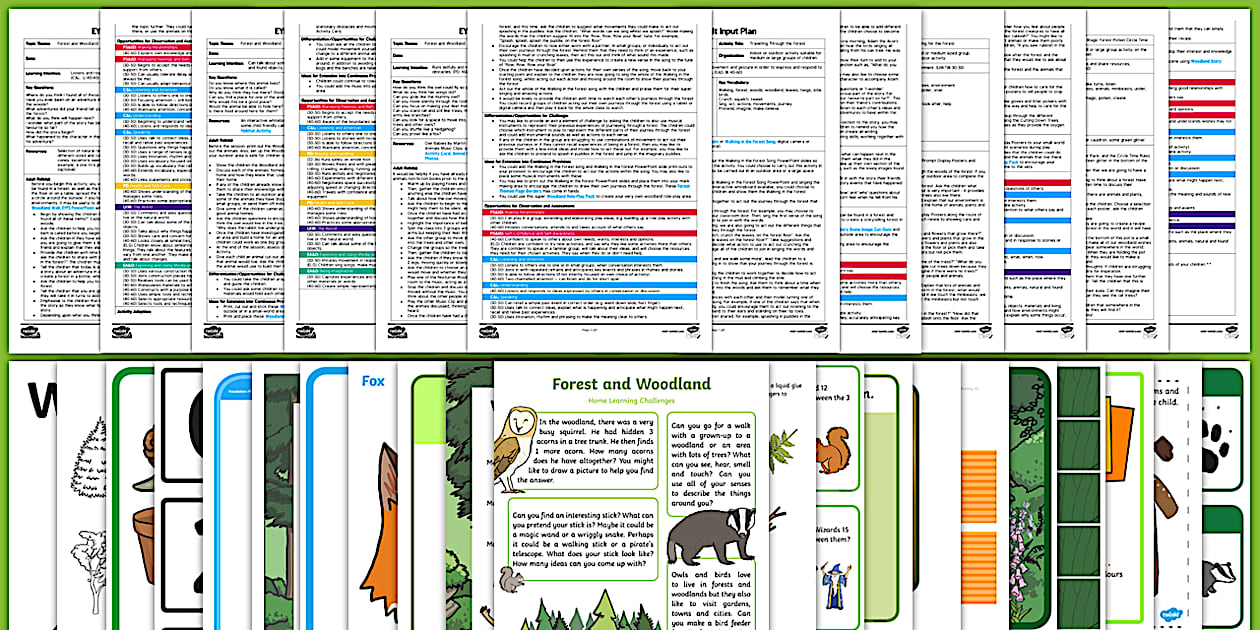 EYFS Forest and Woodland Adult Input Planning and Resource Pack
