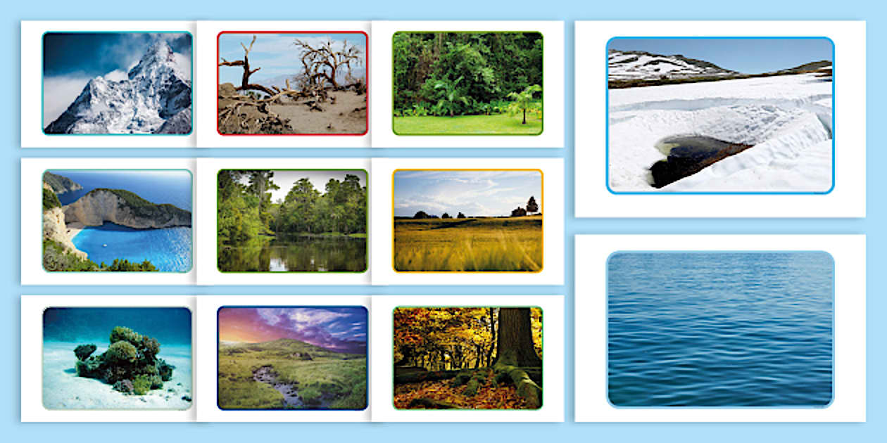 Habitats Photo Pack (teacher made) - Twinkl