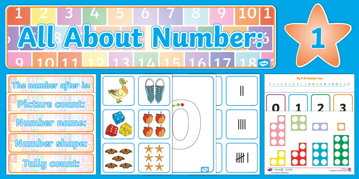* NEW * All About Numbers Display Pack | Twinkl - Twinkl