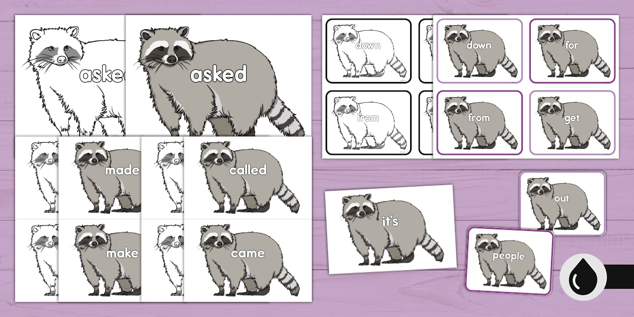 100 High Frequency Words on Raccoon (Teacher-Made) - Twinkl