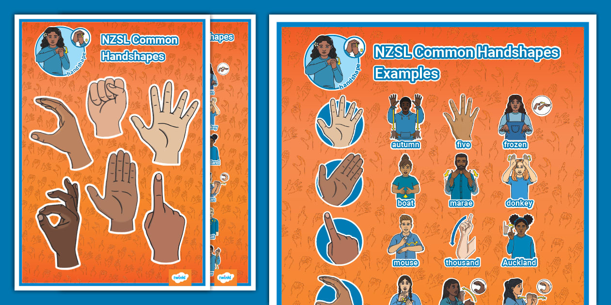 NZSL Handshapes Posters (teacher made) - Twinkl