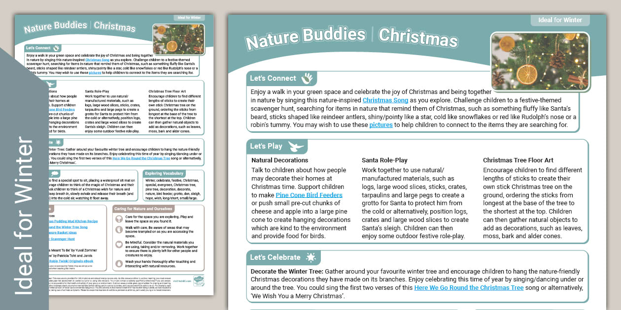EYFS Nature Buddies Outdoor Learning: Christmas - Twinkl