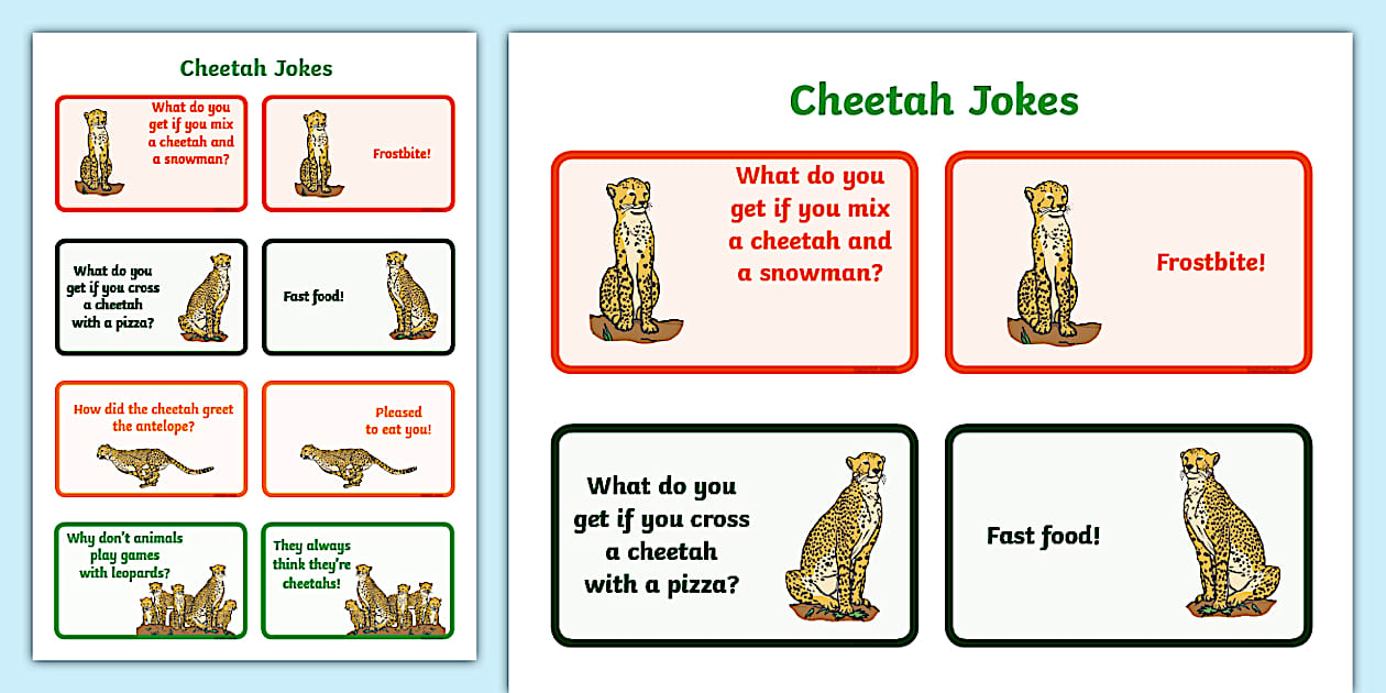 Cheetah Jokes Matching Cards (Hecho por educadores) - Twinkl