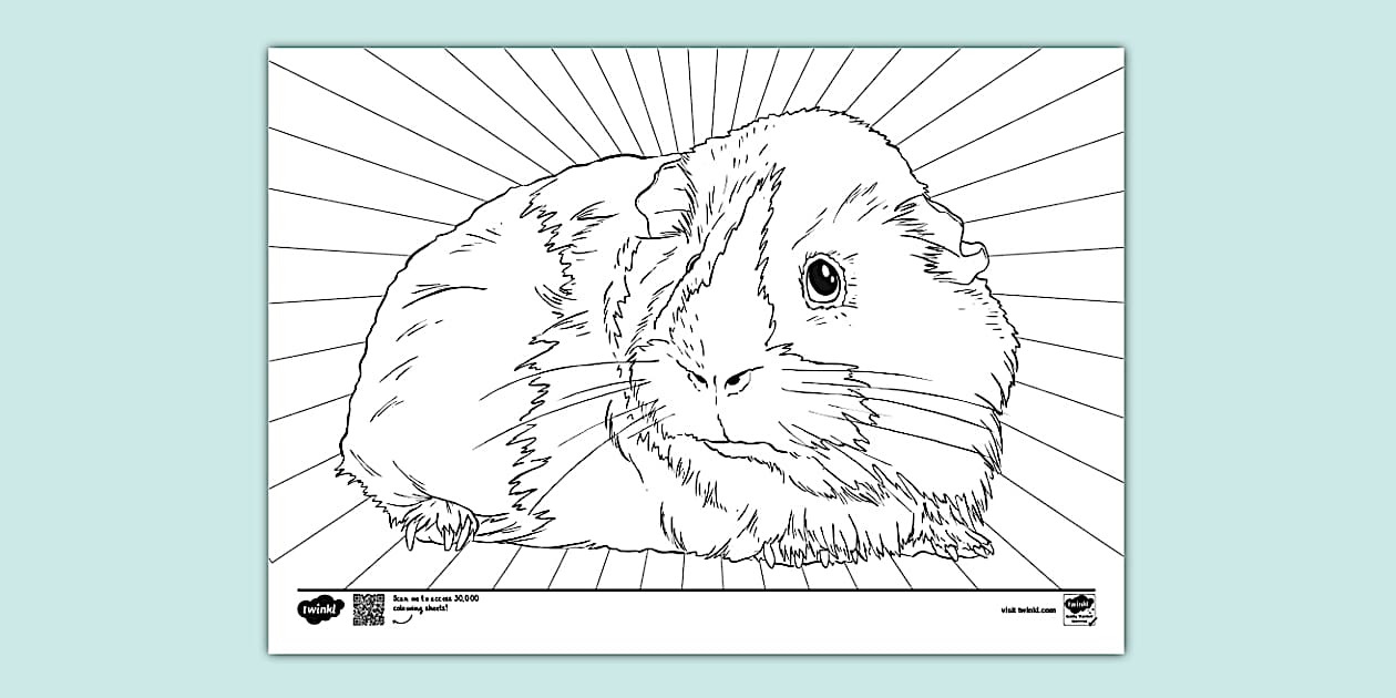 Guinea Pig Mindfulness Colouring Page (teacher made)