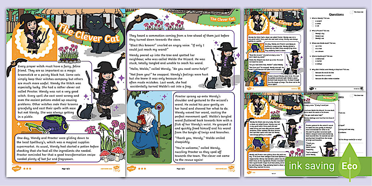 KS1 The Clever Cat Differentiated Reading Comprehension