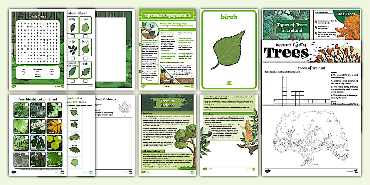 National Tree Week (Resource Pack)