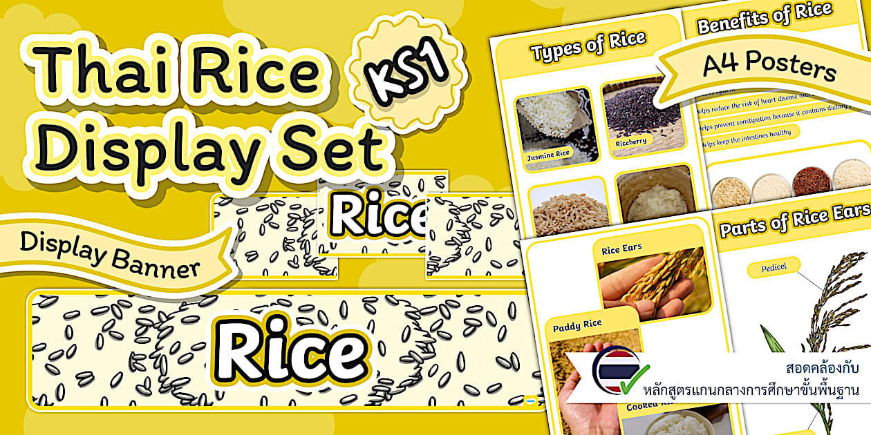 Thai Rice Display Set (EN)