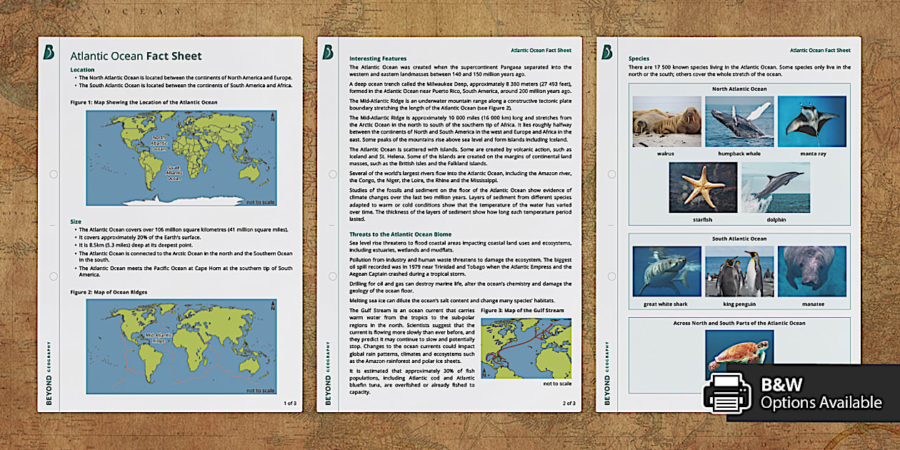 Marine Biomes - Atlantic Ocean Fact File | Geography |Beyond
