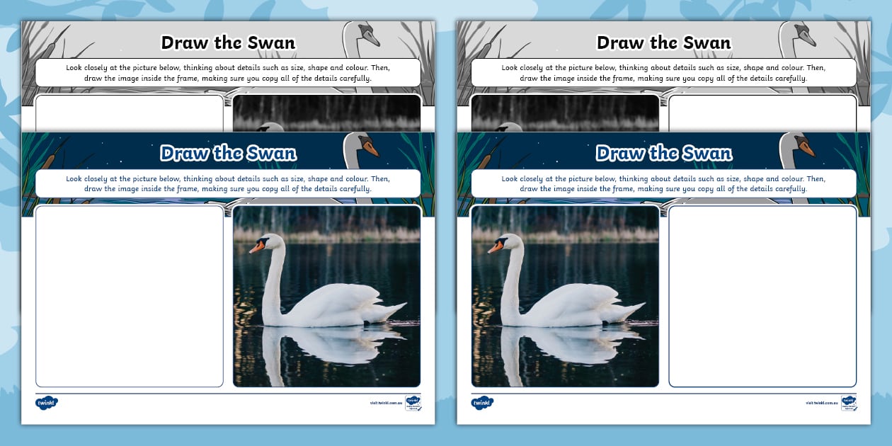 Draw the Swan Art Activity - Twinkl The Arts - Twinkl
