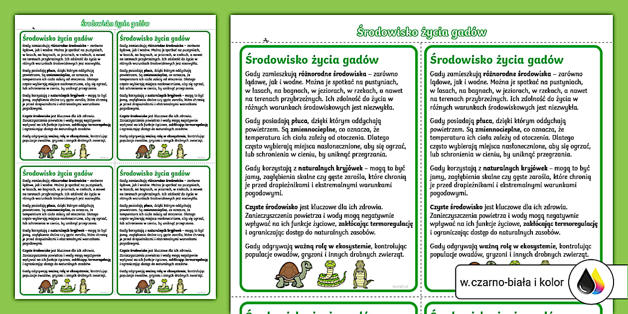 Środowisko życia gadów | Wklejki | Edukacja przyrodnicza