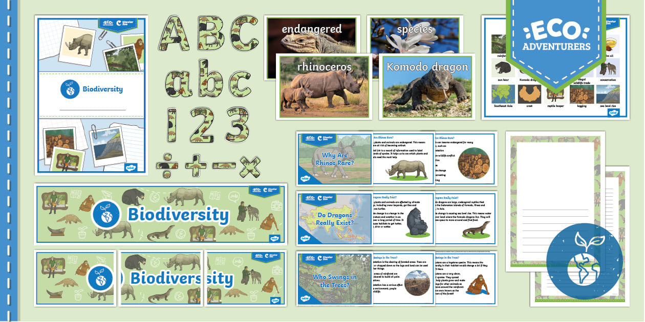FREE! - Year 3 Biodiversity: Display Pack (teacher made)
