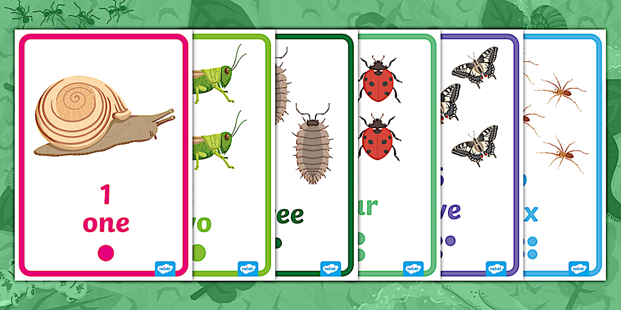👉 Minibeasts Numbers 1-10 Display Posters - Twinkl
