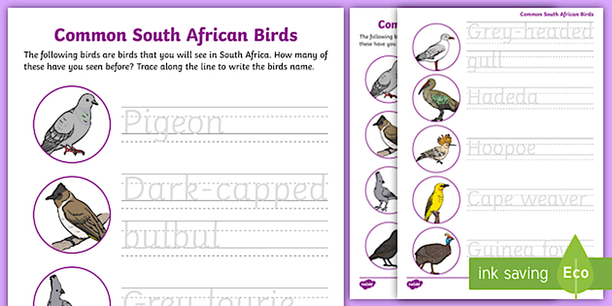 Grade R Activities PDF - Twinkl South Africa - Twinkl